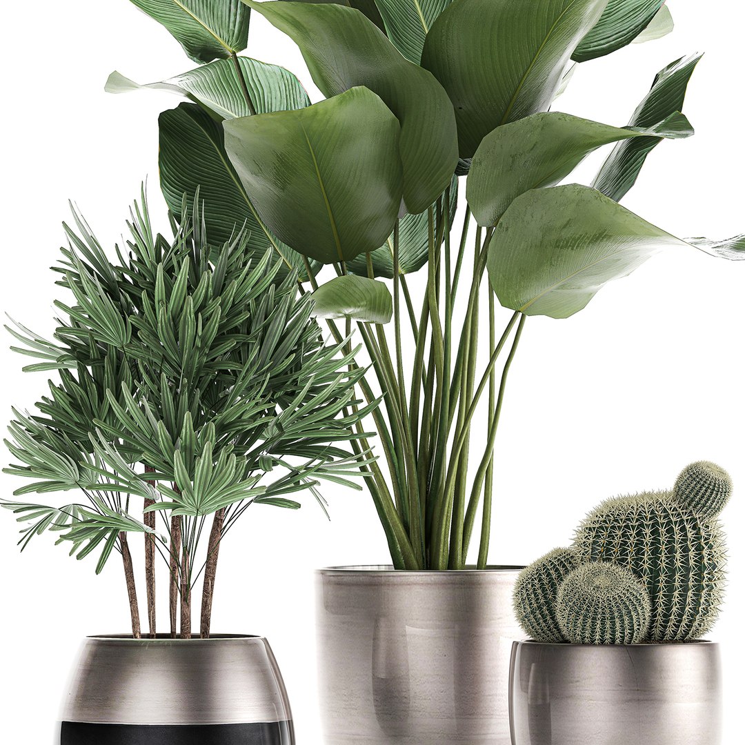 3D Decorative Plants Interior Model - TurboSquid 1612184