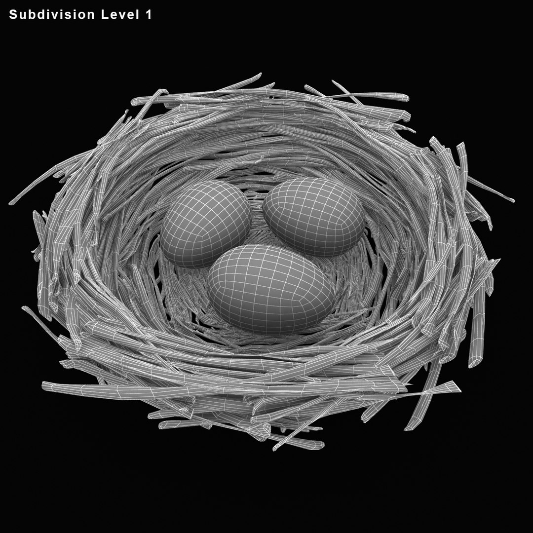 3d Model Bird Nest