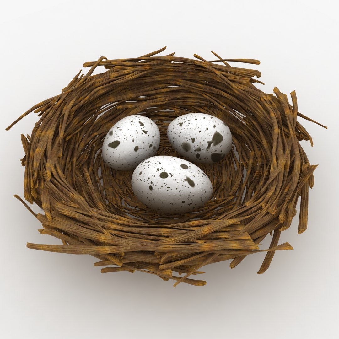 3d Model Bird Nest