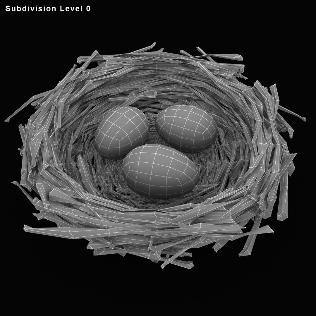 3d Model Bird Nest