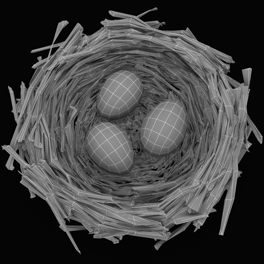 3d Model Bird Nest