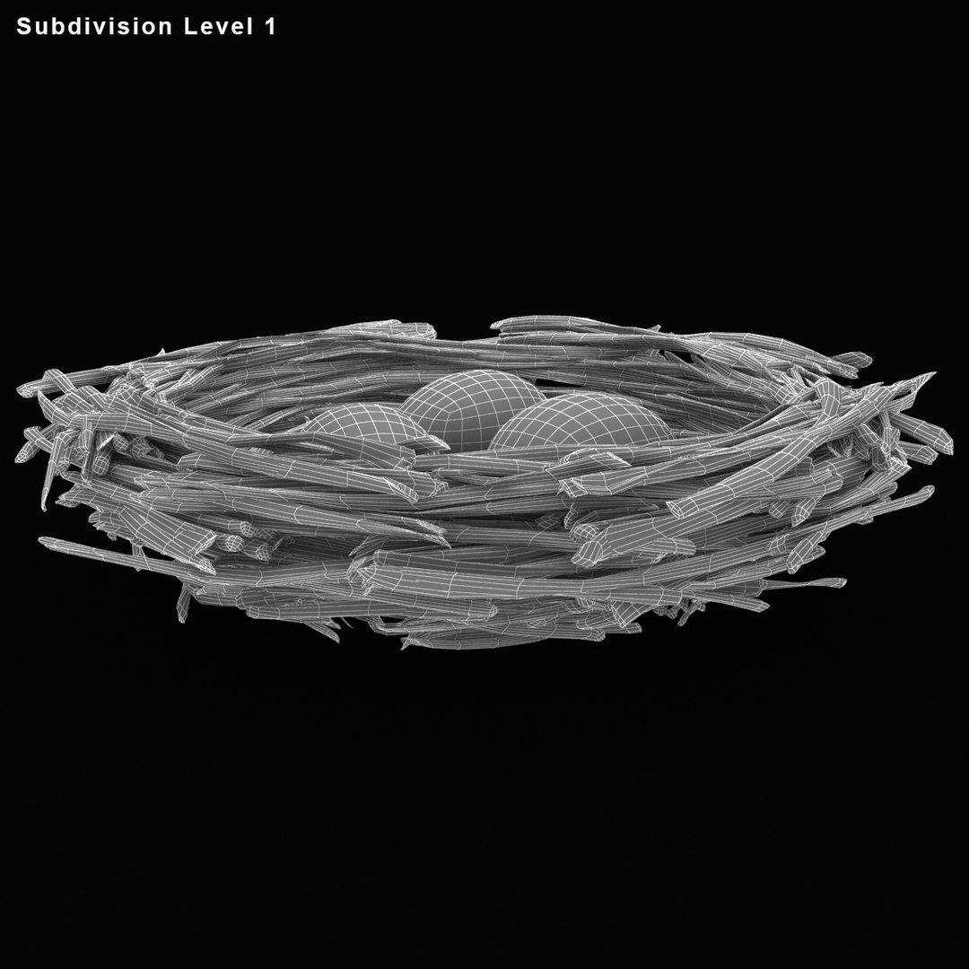 3d Model Bird Nest