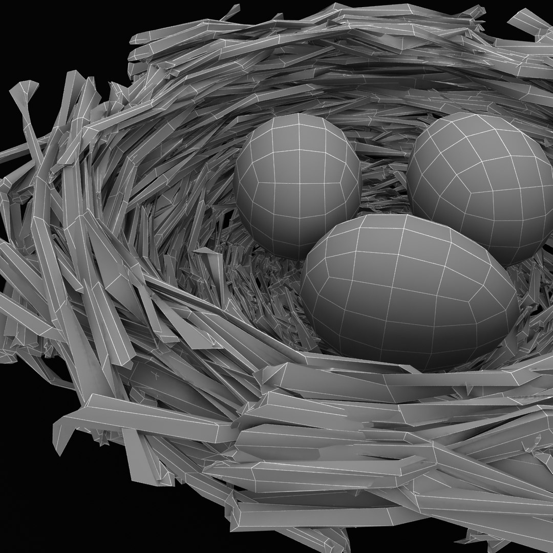 3d Model Bird Nest