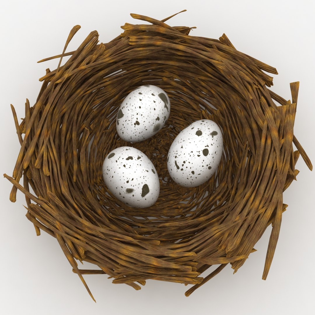 3d Model Bird Nest