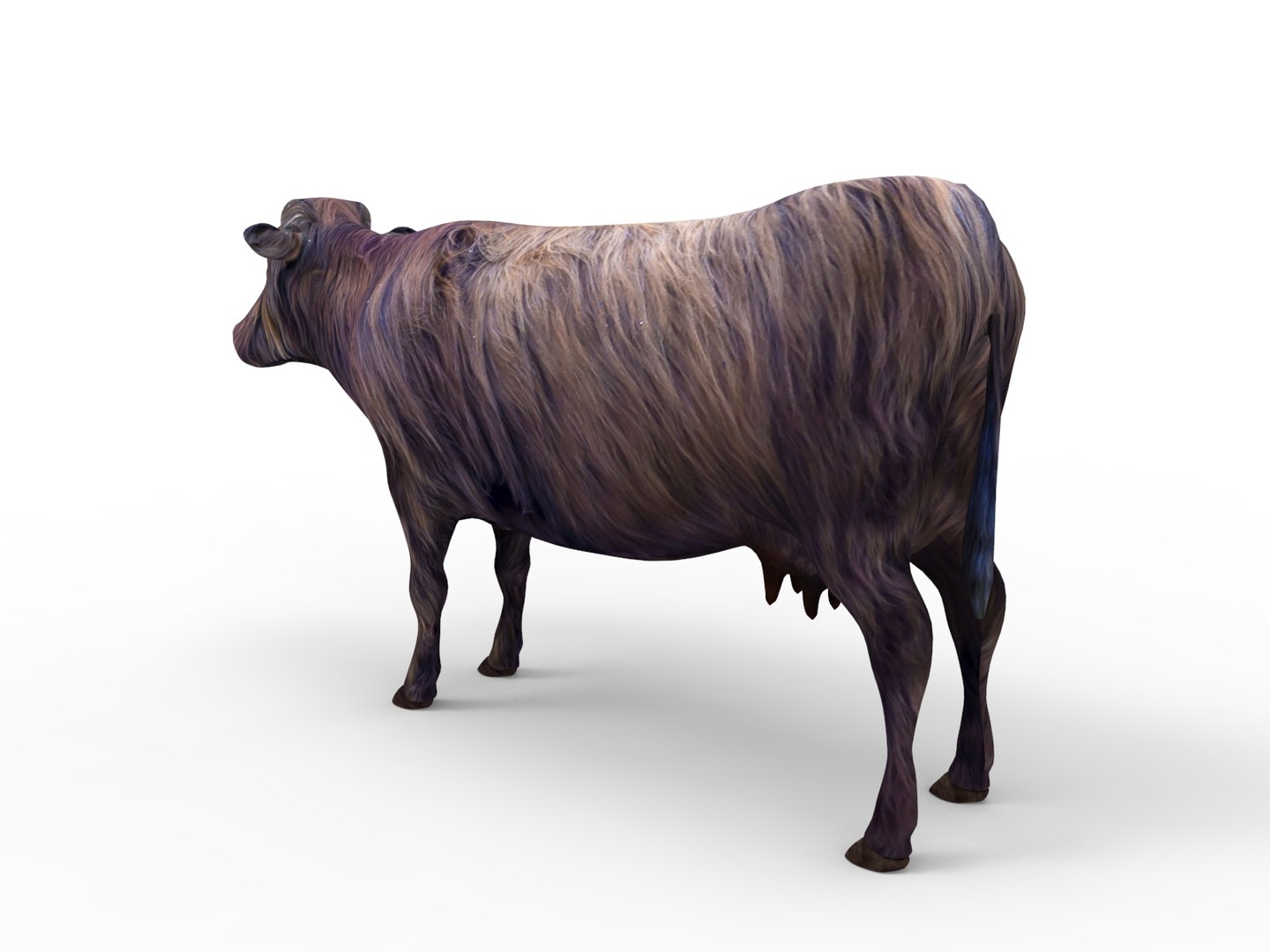 3D model cow cattle - TurboSquid 1196814