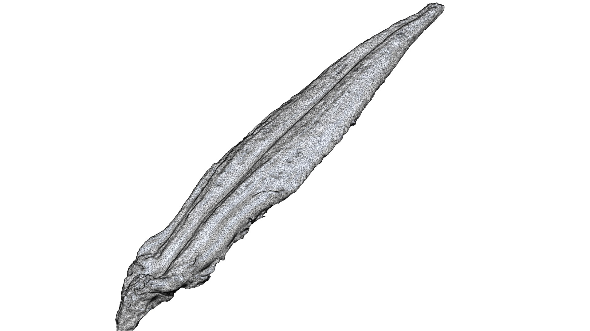 Grilled Eel 3D CT Scan Model Decimate 30 Percent Model - TurboSquid 1965576