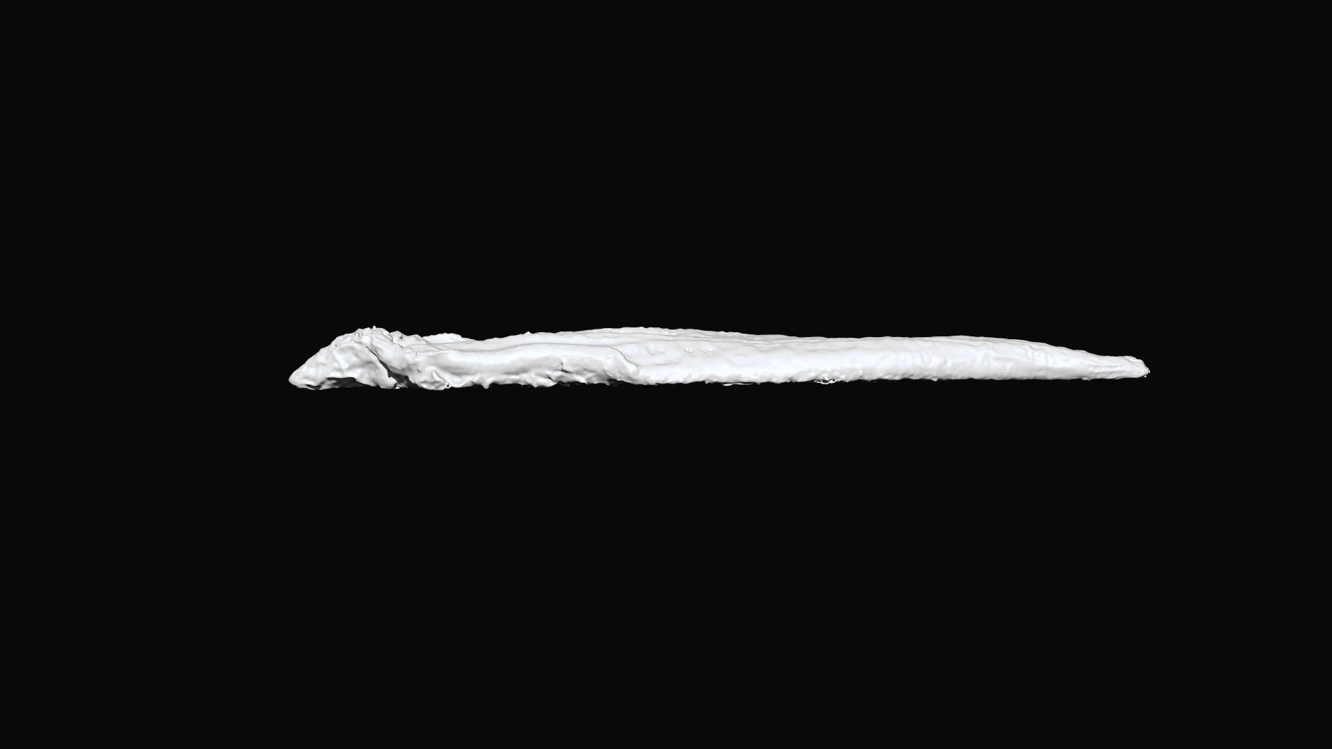 Grilled Eel 3D CT Scan Model Decimate 30 Percent Model - TurboSquid 1965576