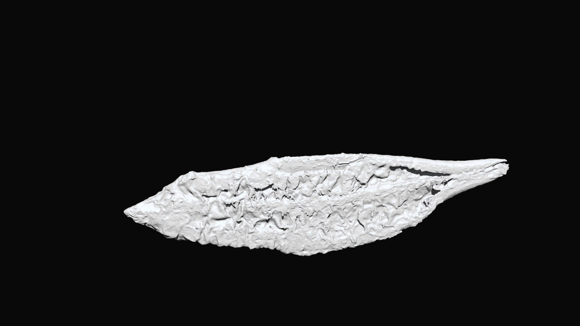 Grilled Eel 3D CT Scan Model Decimate 30 Percent Model - TurboSquid 1965576