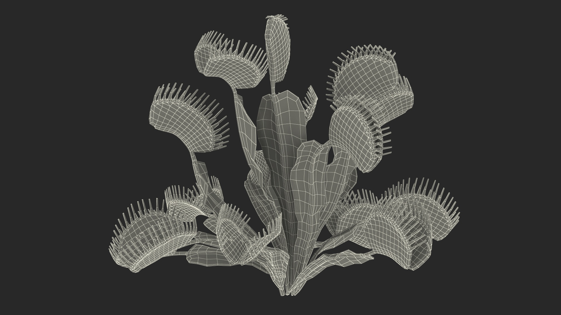 Red Dragon Venus Flytrap 3D Model - TurboSquid 2236643