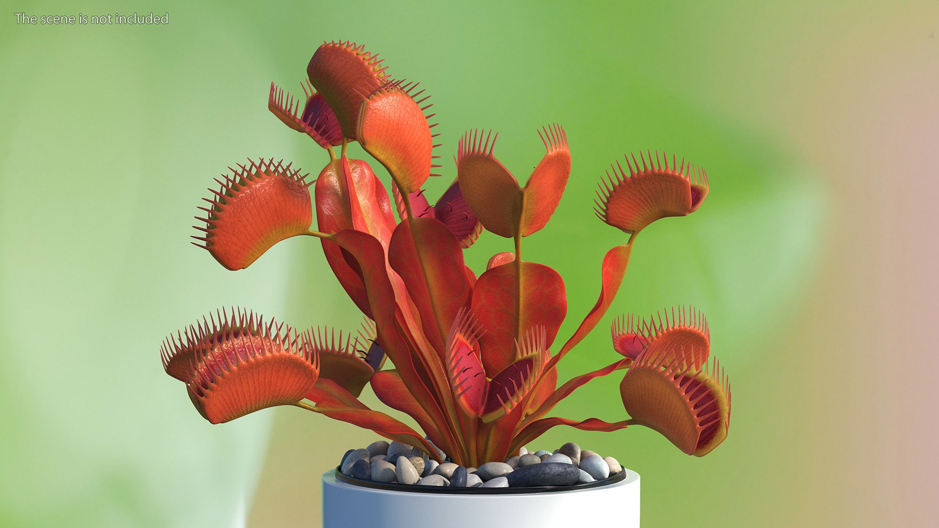 Red Dragon Venus Flytrap 3D Model - TurboSquid 2236643