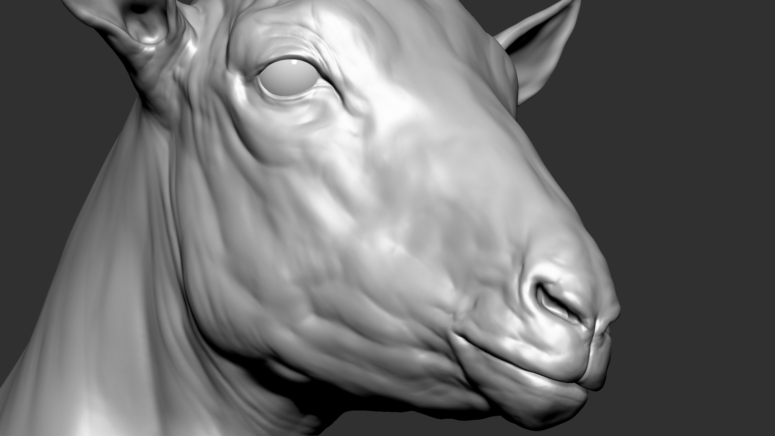 Test1 3D model - TurboSquid 1889454