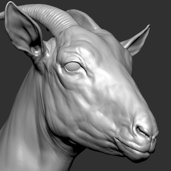 Goat 3D Models for Download | TurboSquid