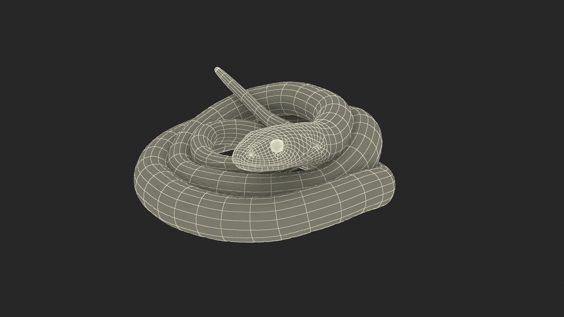 Ringed Snake Green Coiled 3D - TurboSquid 2252162