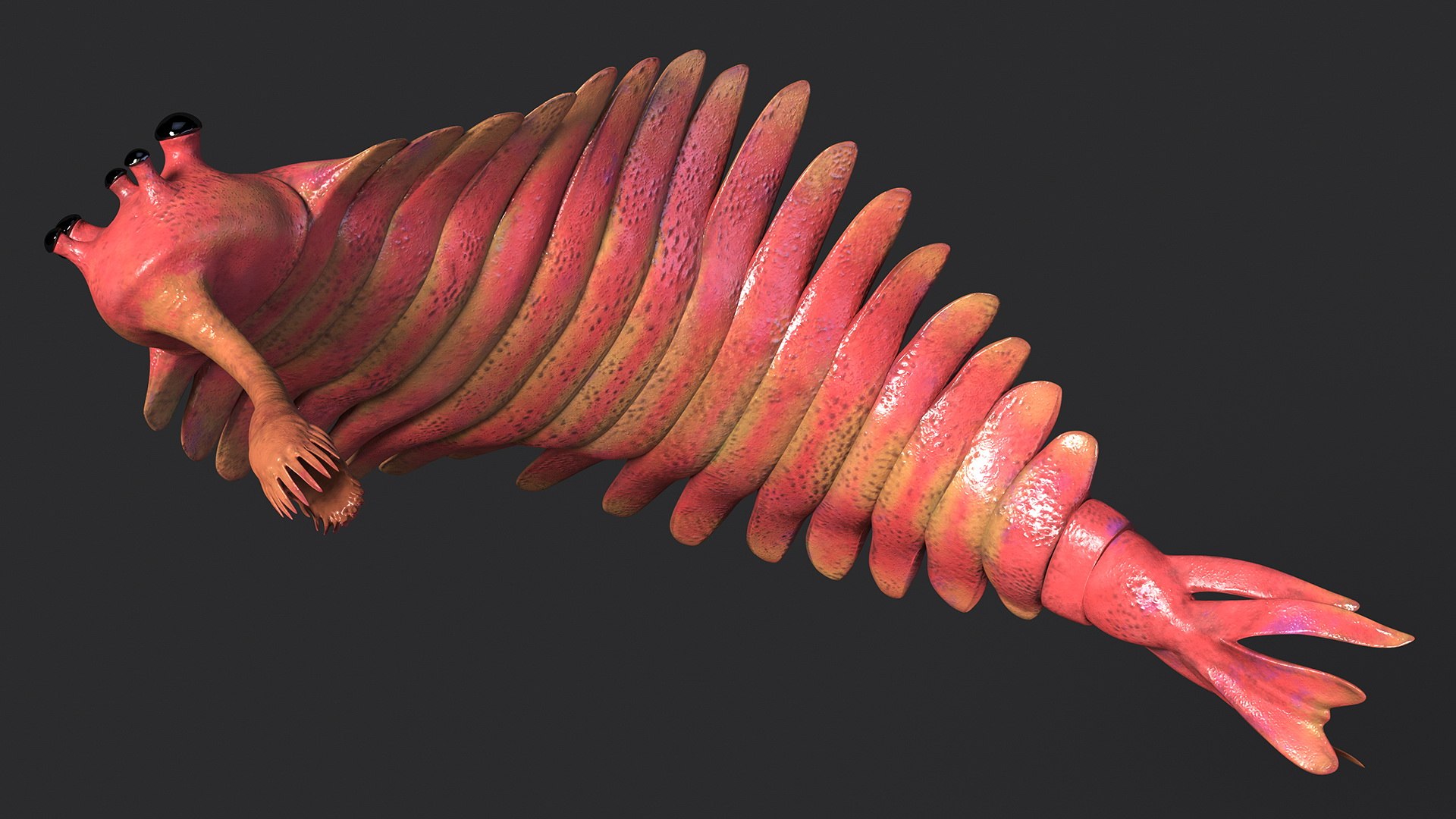 Pink Opabinia Flip 3D Model - TurboSquid 2178978