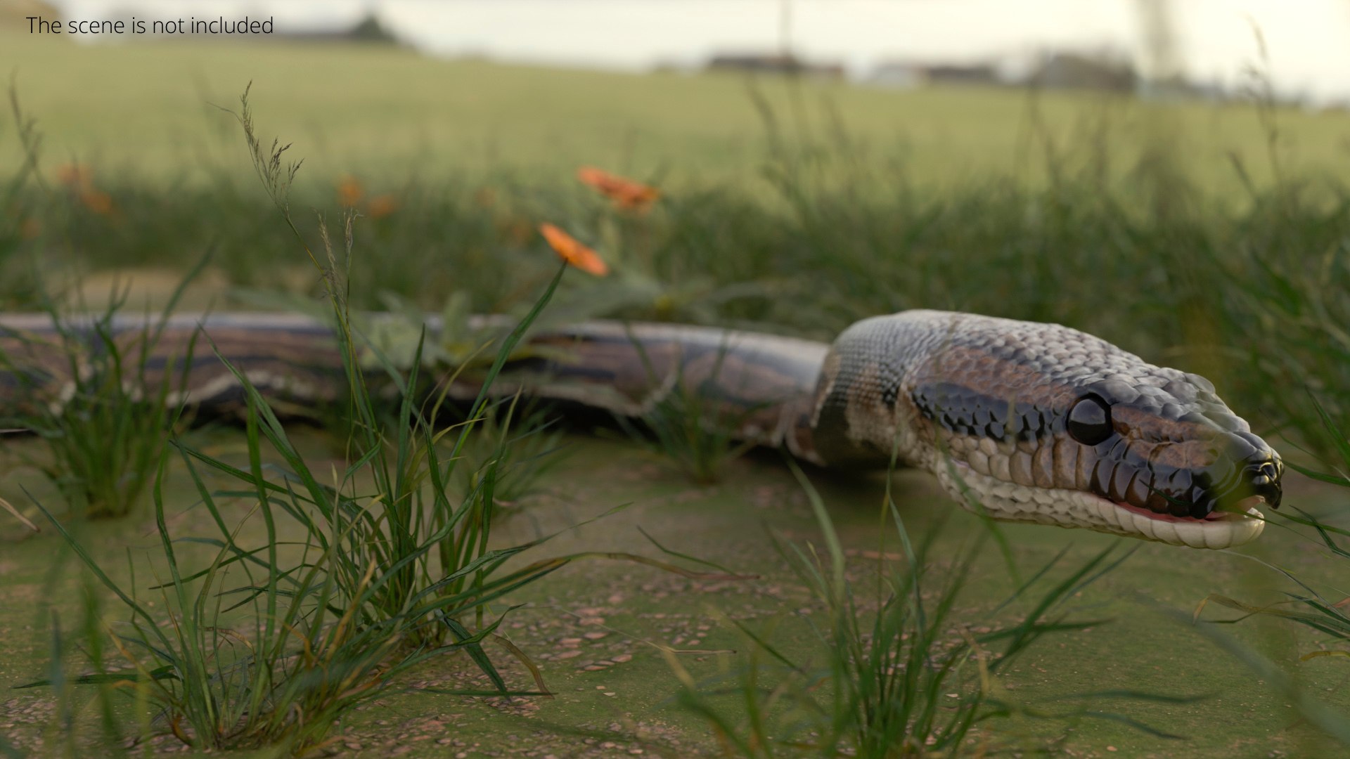 Python Snake Rigged For Blender Animated Set Model - TurboSquid 2504116