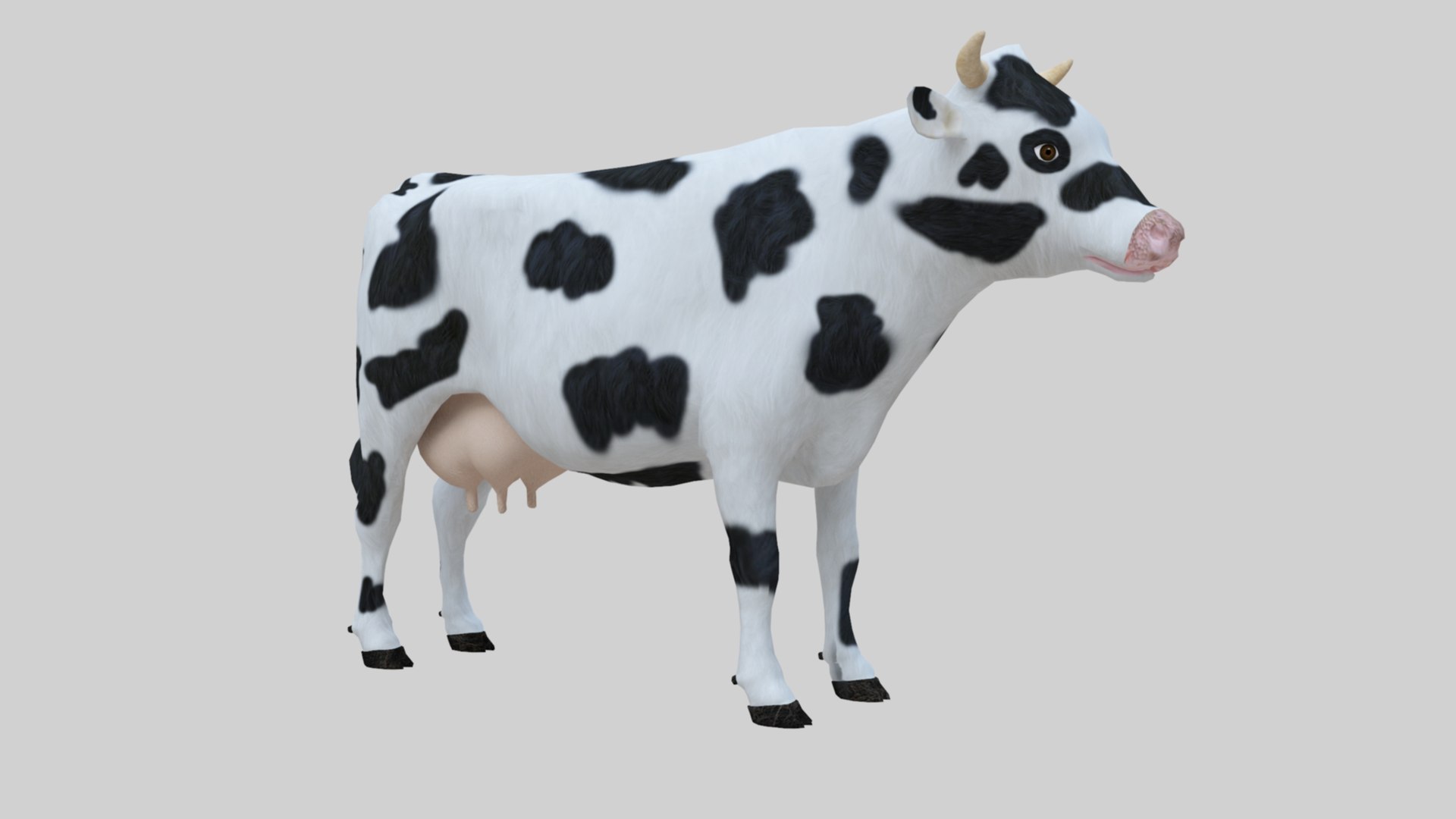 3D Low Poly Cow Collection - 3 Cow Models - 4K - Unwrapped - TurboSquid ...