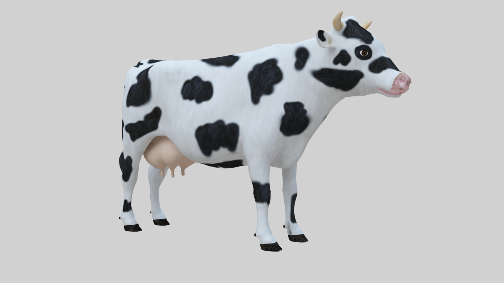 3D Low Poly Cow Collection - 3 Cow Models - 4K - Unwrapped - TurboSquid ...