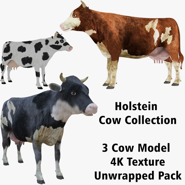 modelo 3d Low Poly Cow Collection - 3 Cow Models - 4K - Unwrapped ...