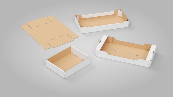 3D trays cardboard boxes model - TurboSquid 1459475