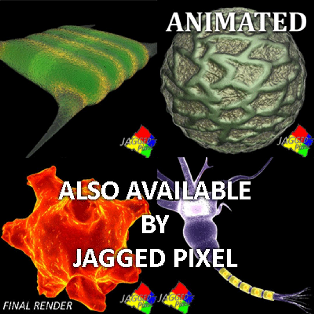 Bacillus Virus Bacteria 2 Max Free