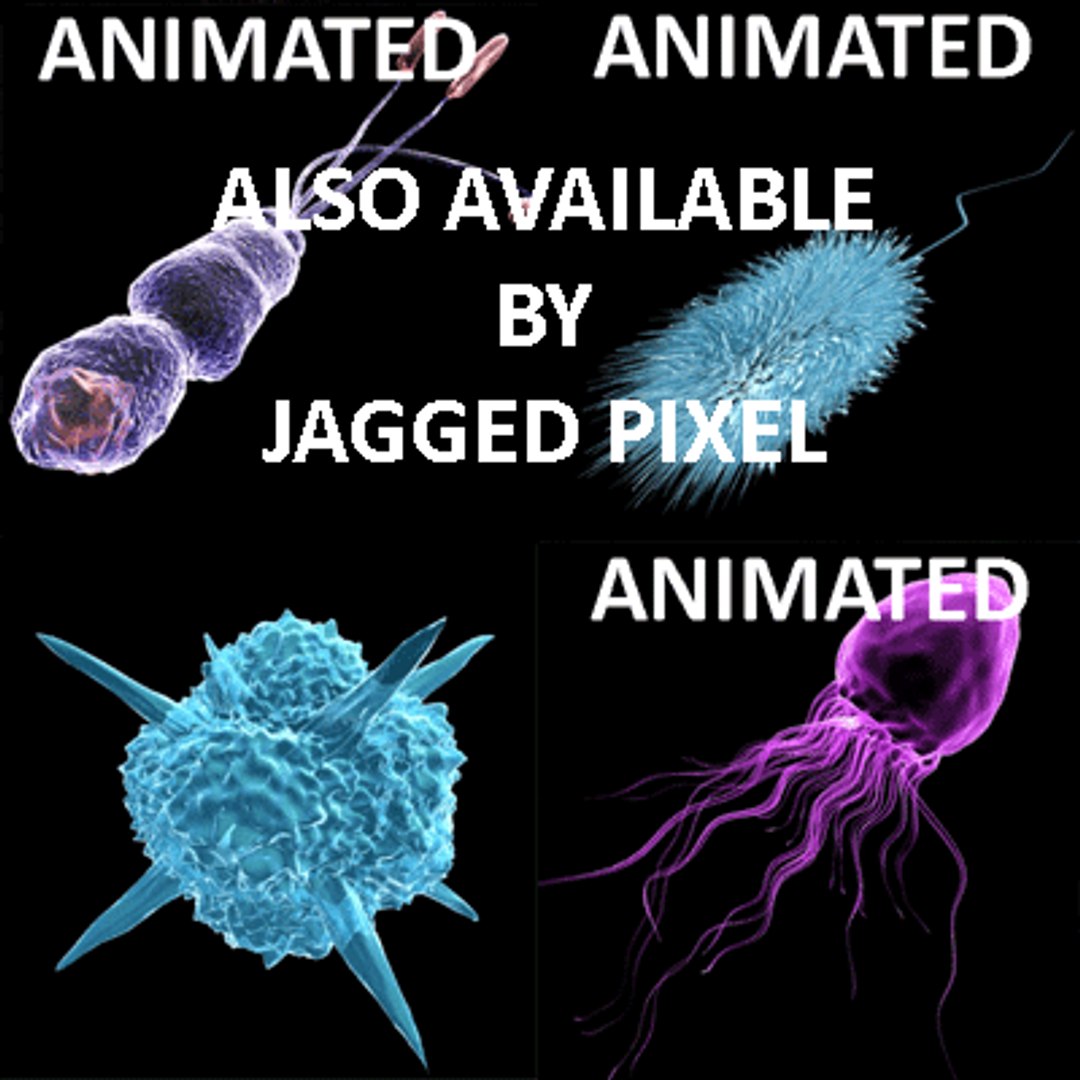 Bacillus Virus Bacteria 2 Max Free