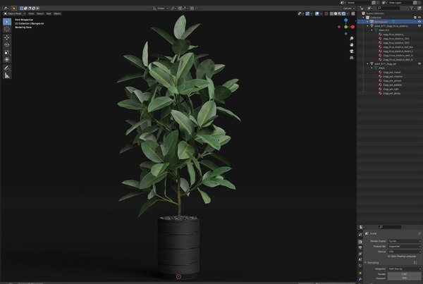 3D model Plants collection 877 - TurboSquid 2010261