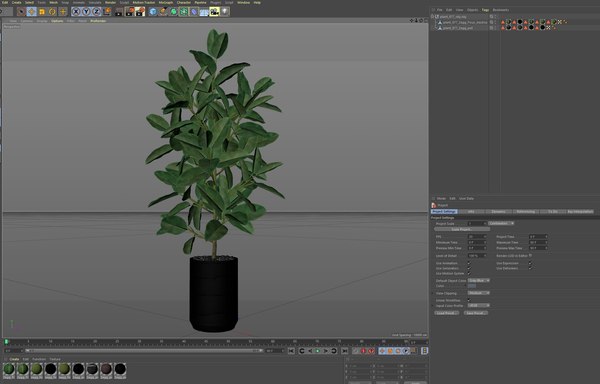 3D model Plants collection 877 - TurboSquid 2010261