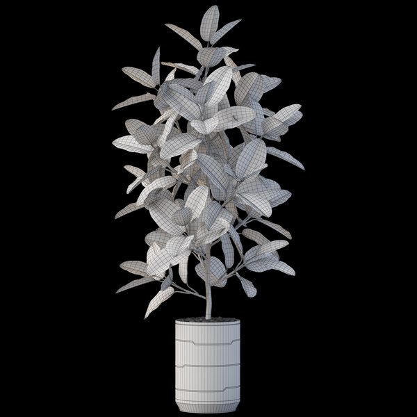 3D model Plants collection 877 - TurboSquid 2010261