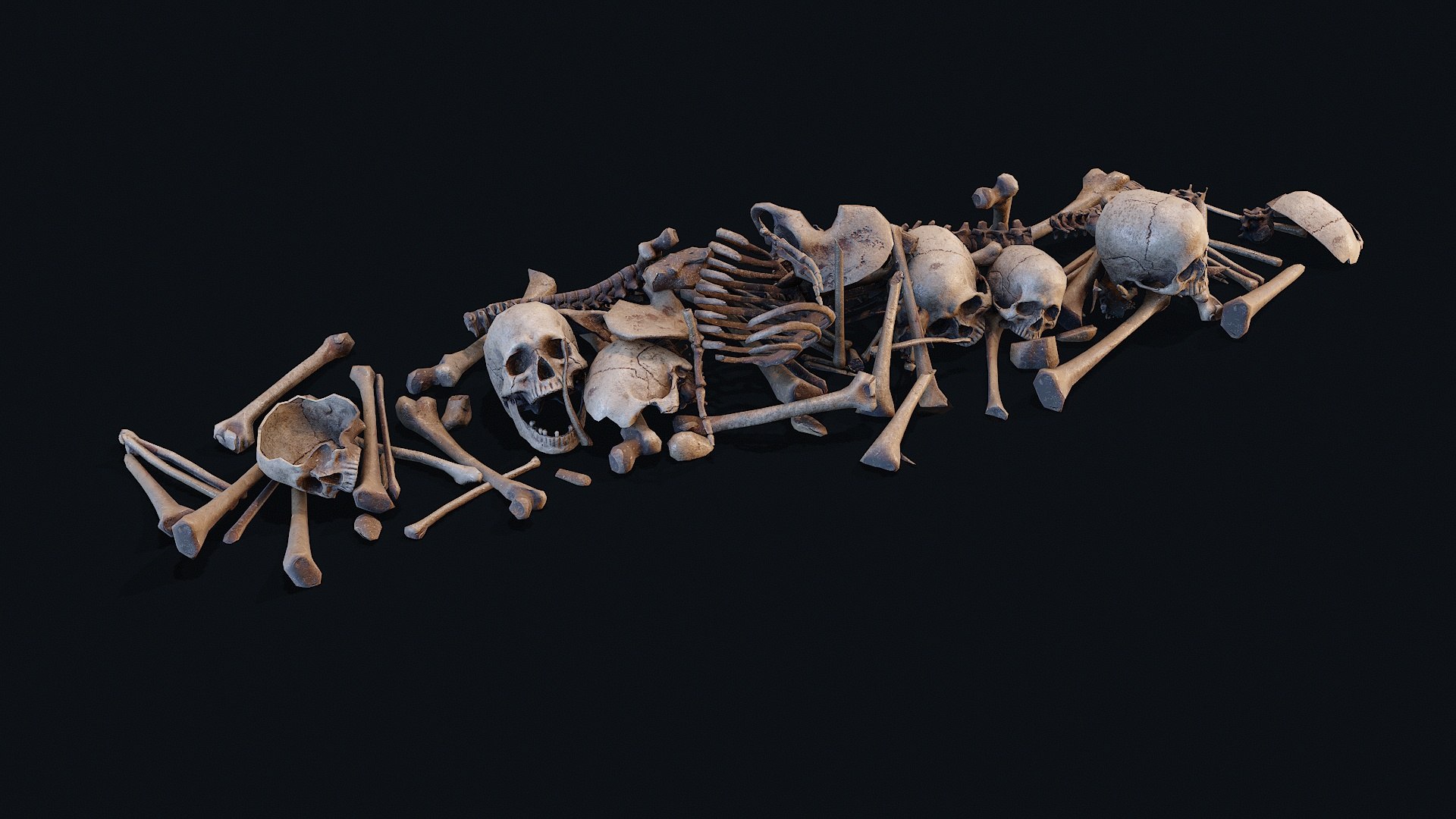 Human Bones Pile 3D - TurboSquid 2374448