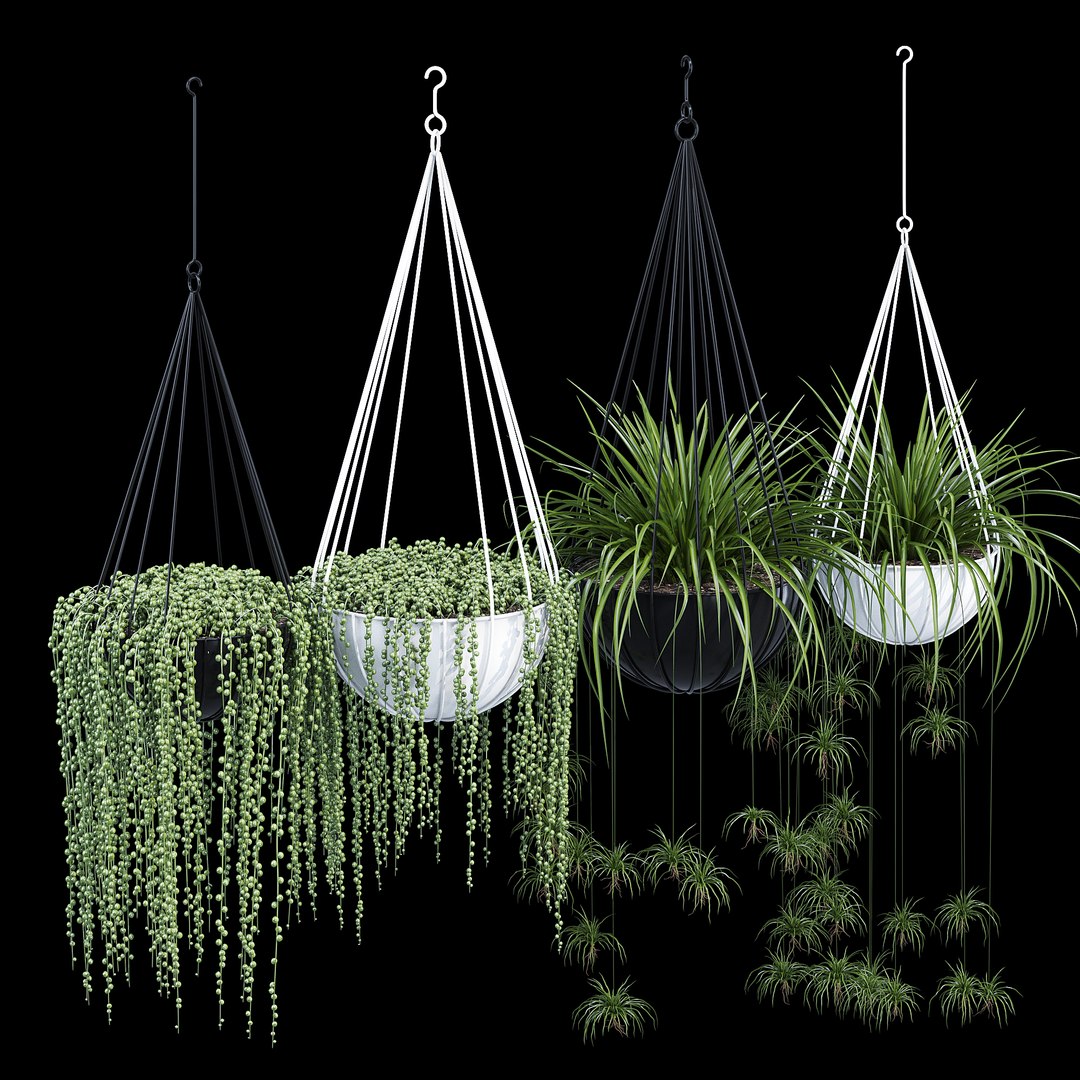 3D Hanging - TurboSquid 1651104