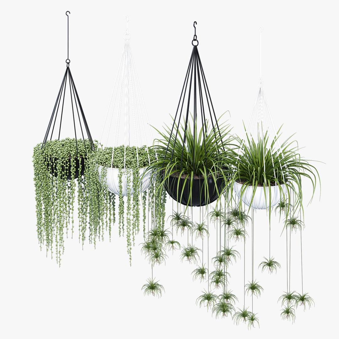 3D Hanging - TurboSquid 1651104