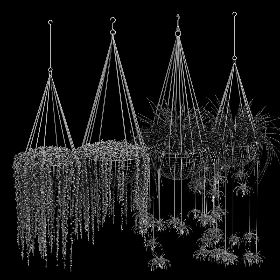 3D Hanging - TurboSquid 1651104