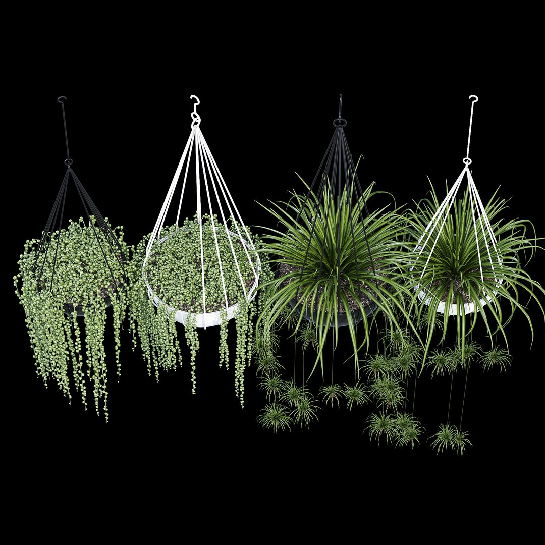 3D Hanging - TurboSquid 1651104