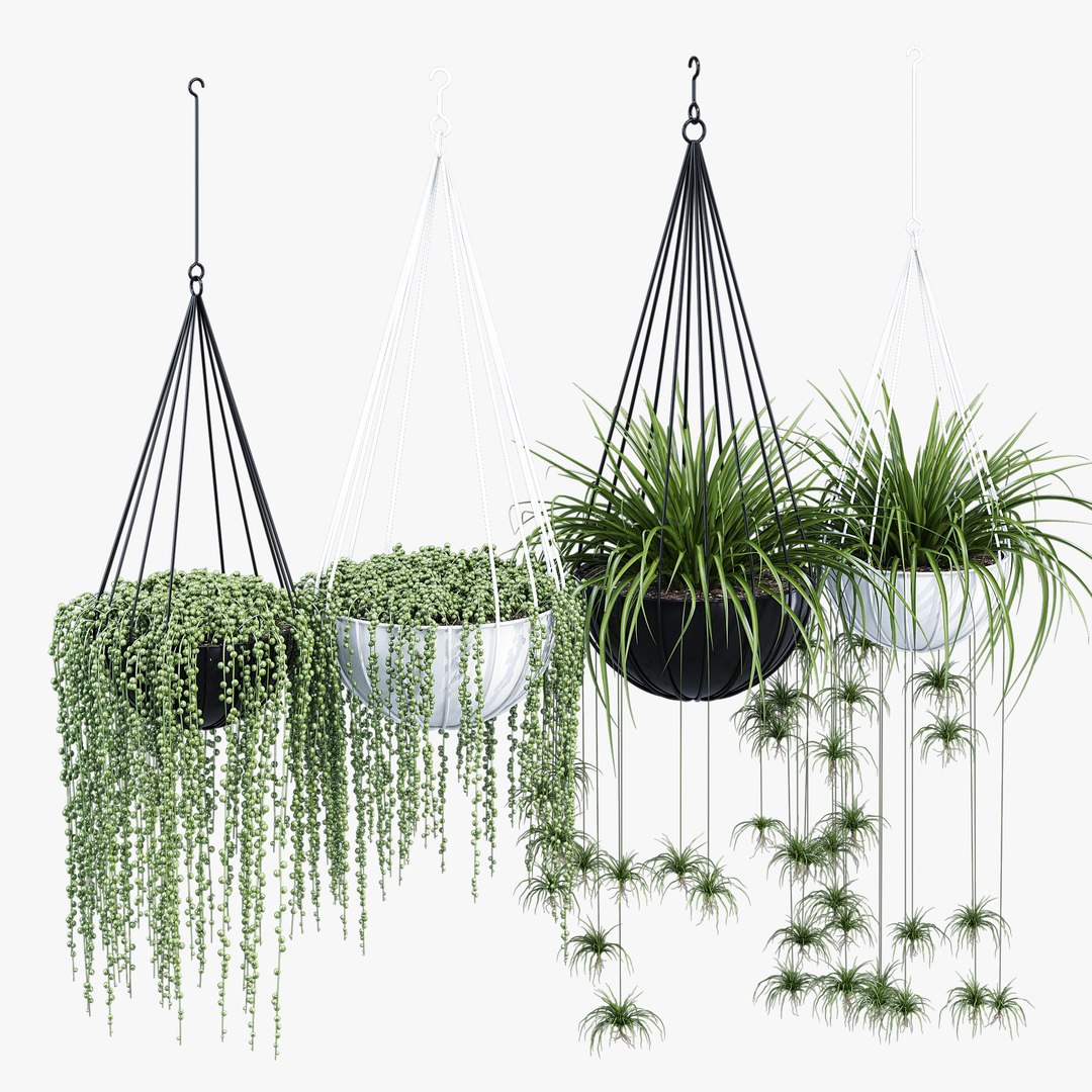 3D Hanging - TurboSquid 1651104