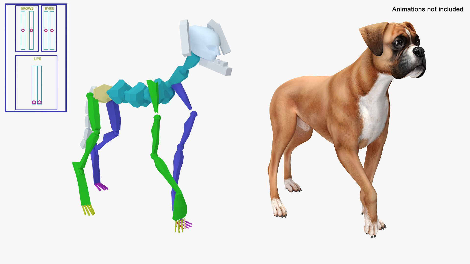3D Boxer Dog Rigged Model - TurboSquid 2250618