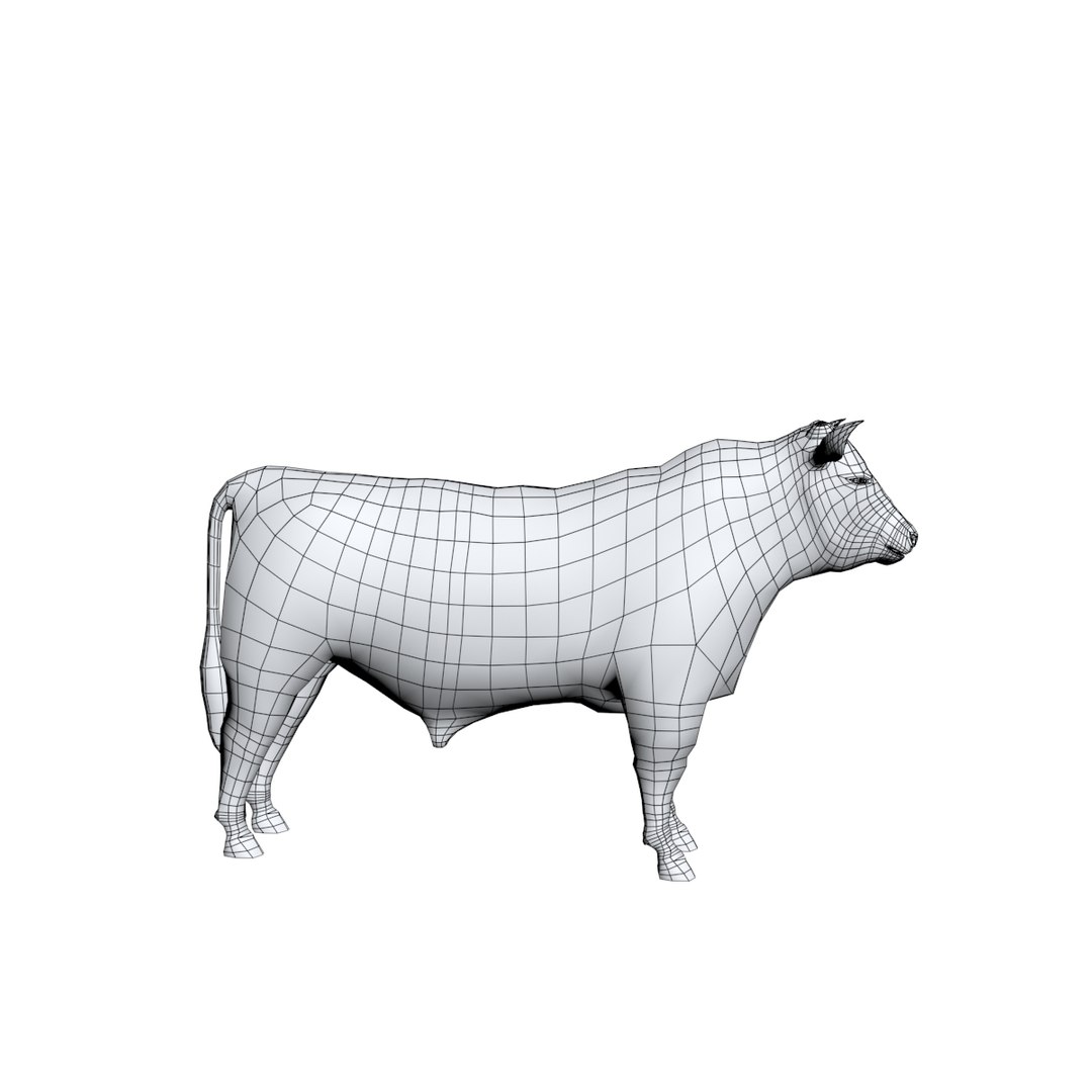 Bull 3D - TurboSquid 1614392