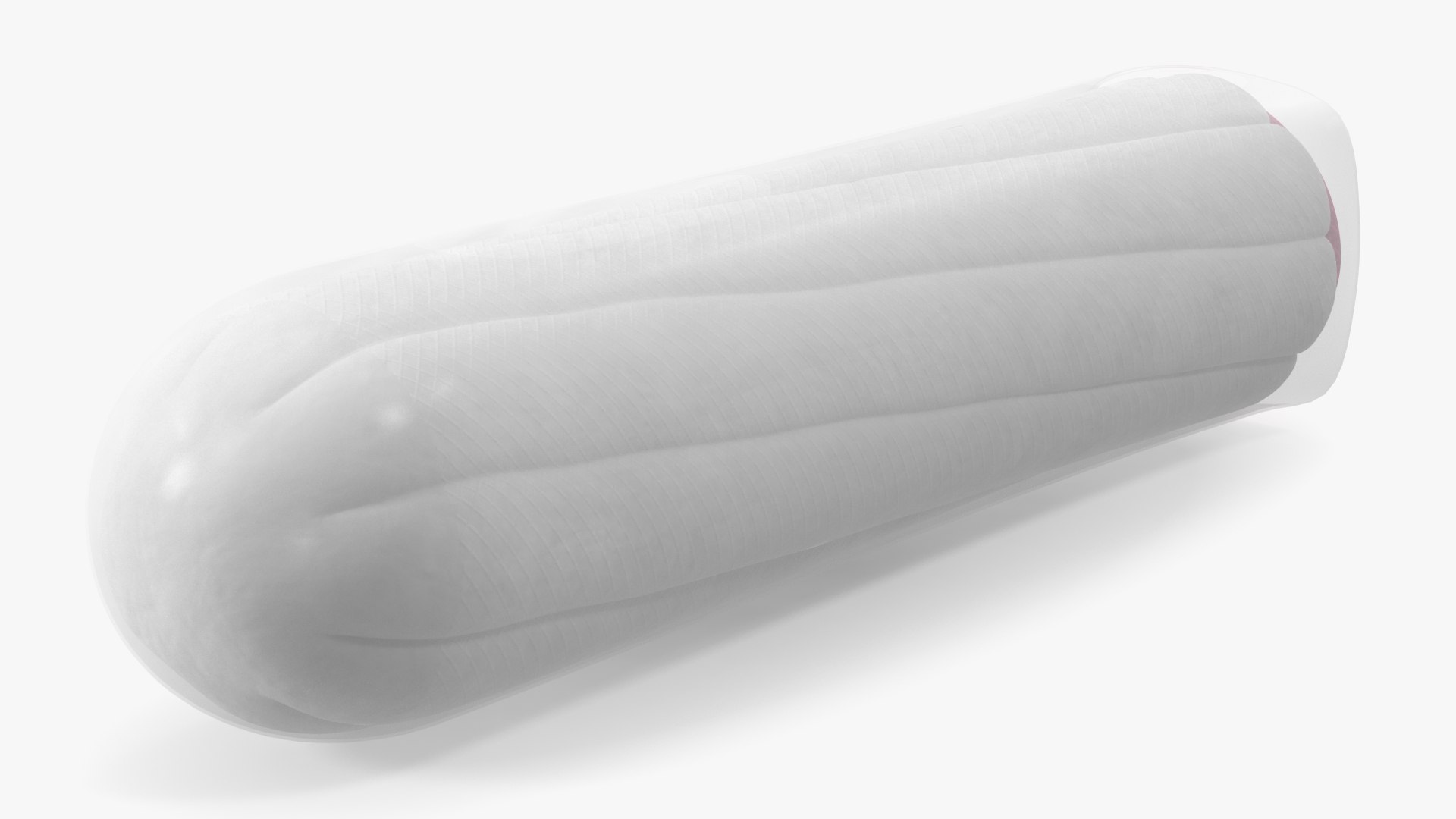 3D Packed Menstrual Tampon model - TurboSquid 2164570
