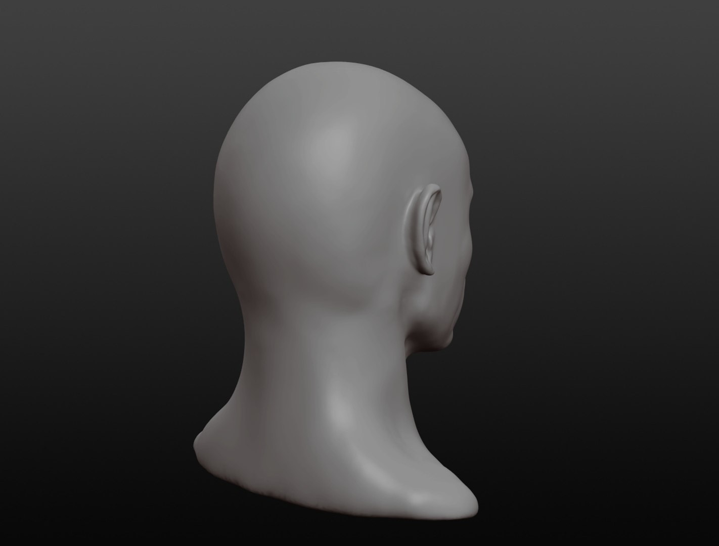 3D Model Male Head Base Mesh - TurboSquid 1660363