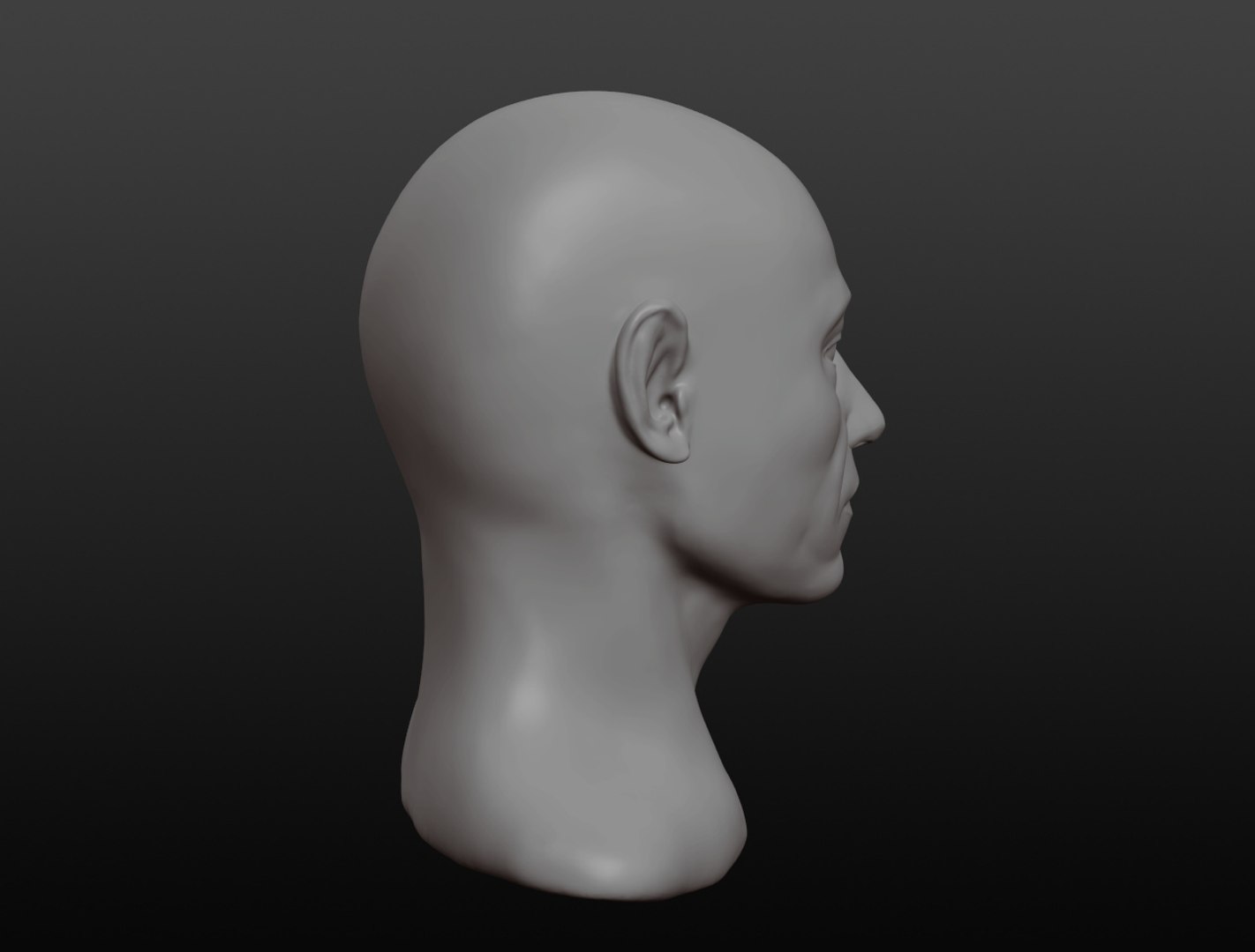 3D Model Male Head Base Mesh - TurboSquid 1660363