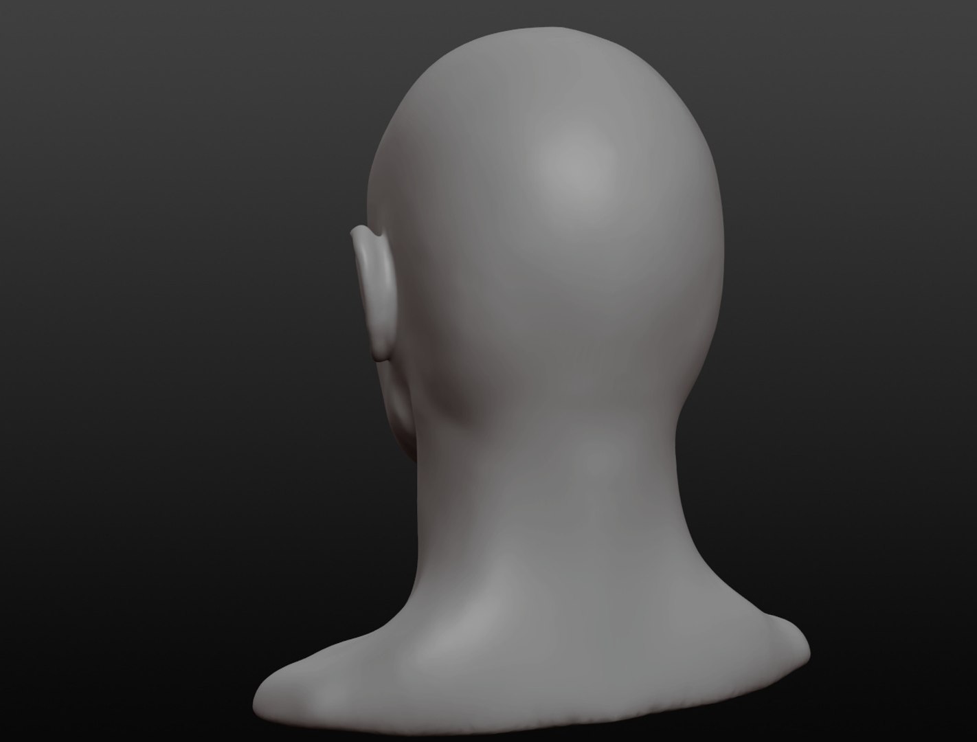 3D Model Male Head Base Mesh - TurboSquid 1660363