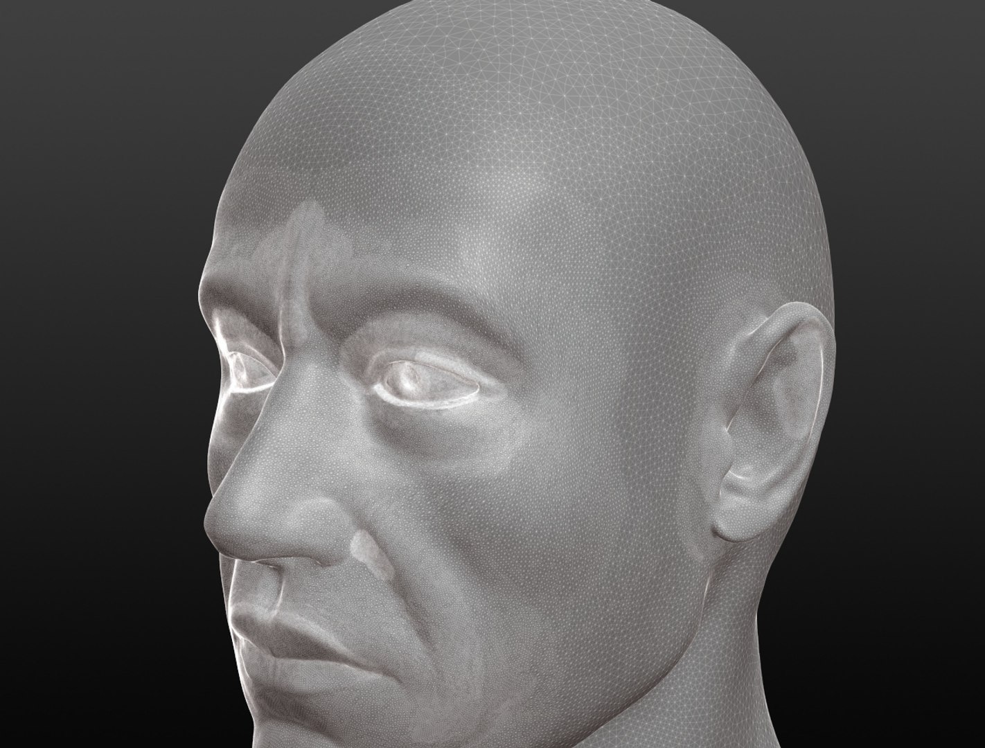 3D Model Male Head Base Mesh - TurboSquid 1660363