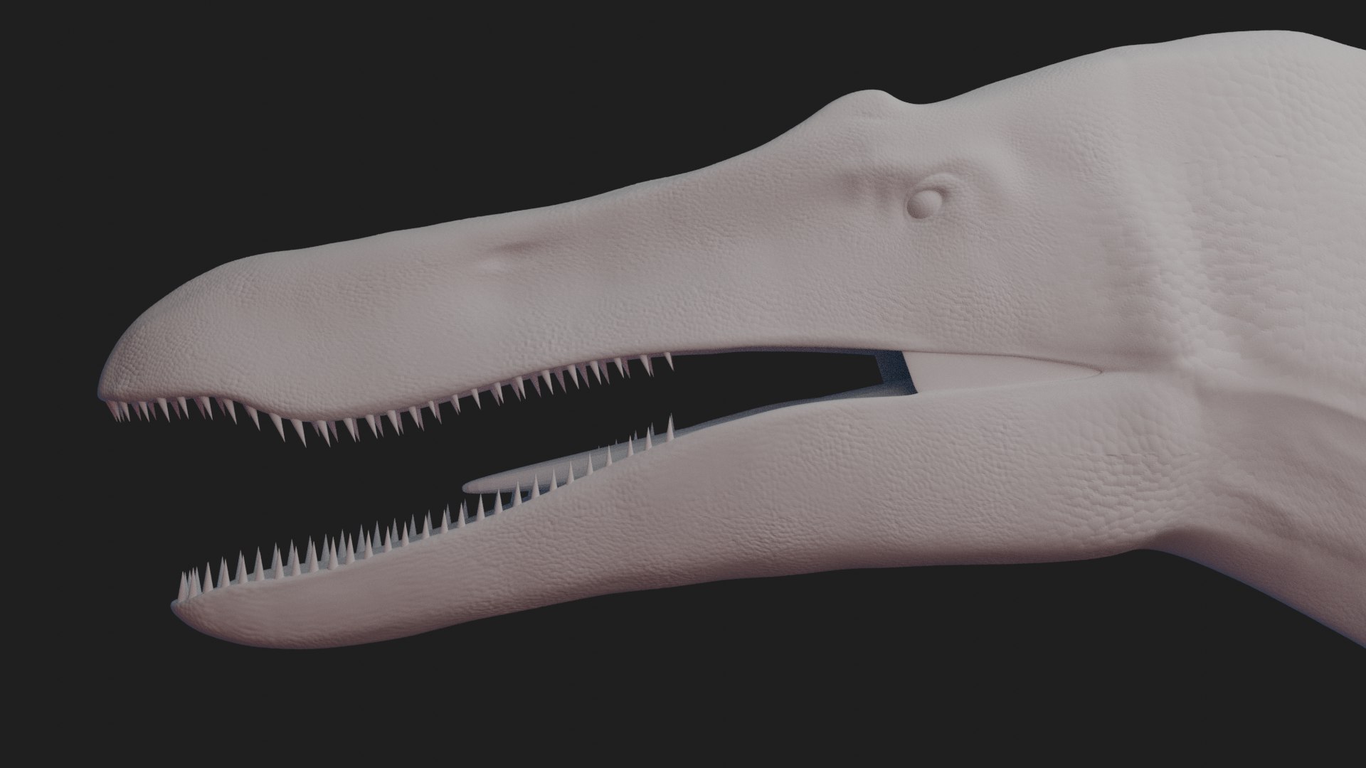 Suchomimus Tenerensis - Rigged Base Mesh 3D Model - TurboSquid 2119091