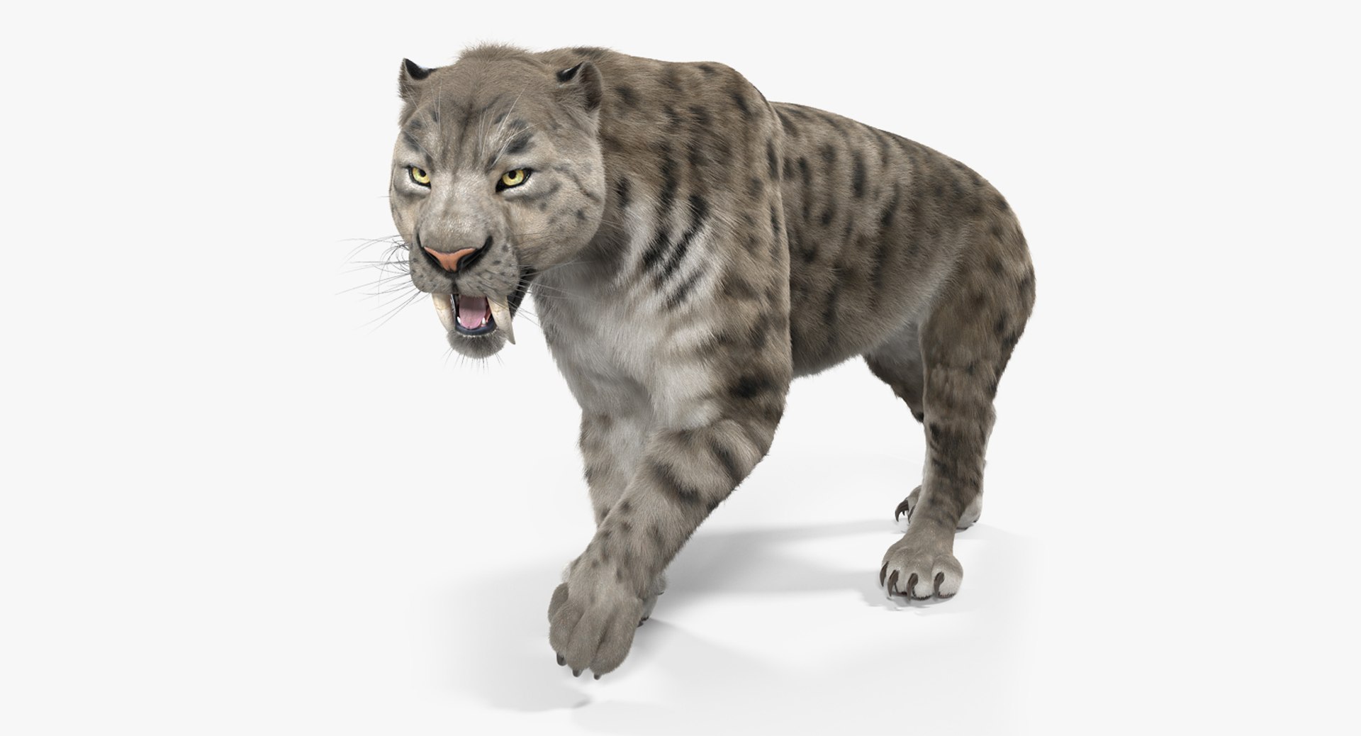 Arctic Saber Tooth Cat 3D Model - TurboSquid 1329301