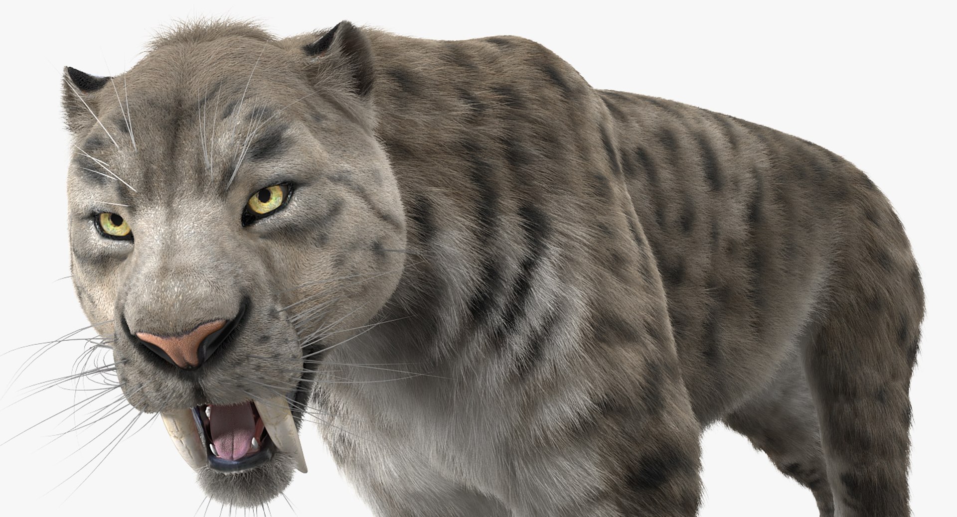 Arctic Saber Tooth Cat 3D Model - TurboSquid 1329301
