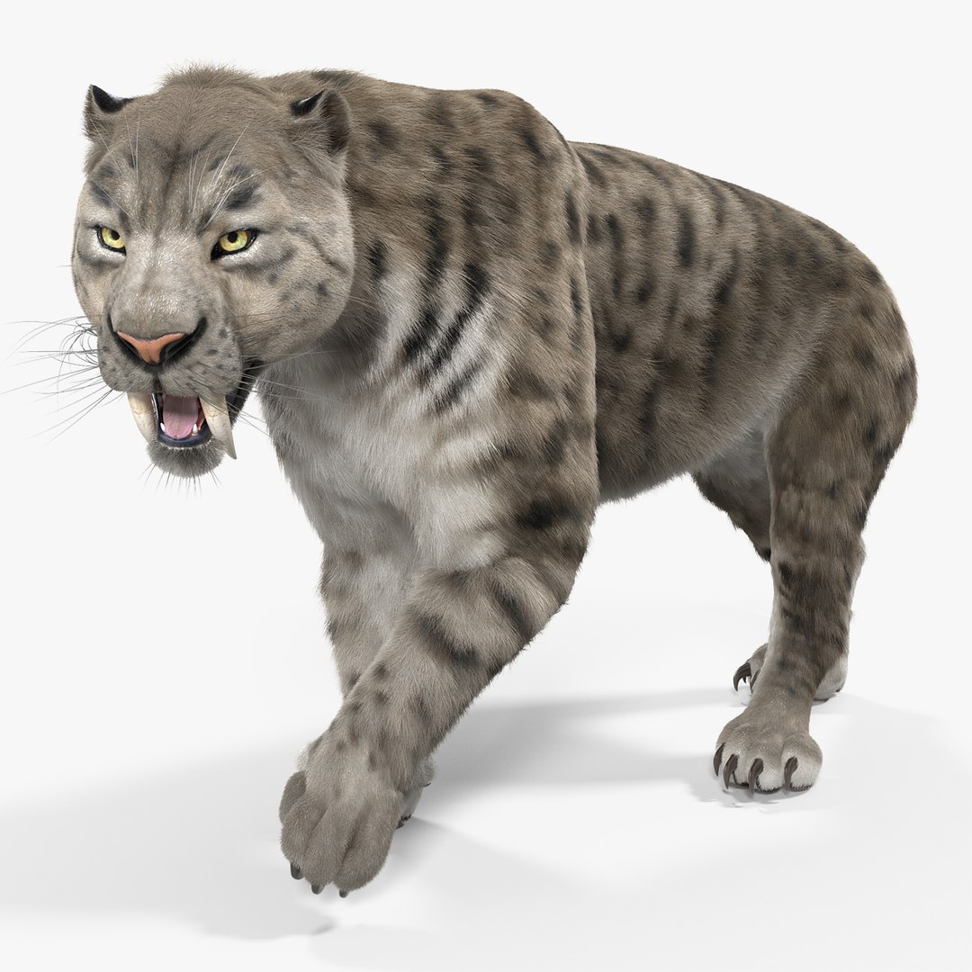 Arctic saber tooth cat 3D model - TurboSquid 1329301