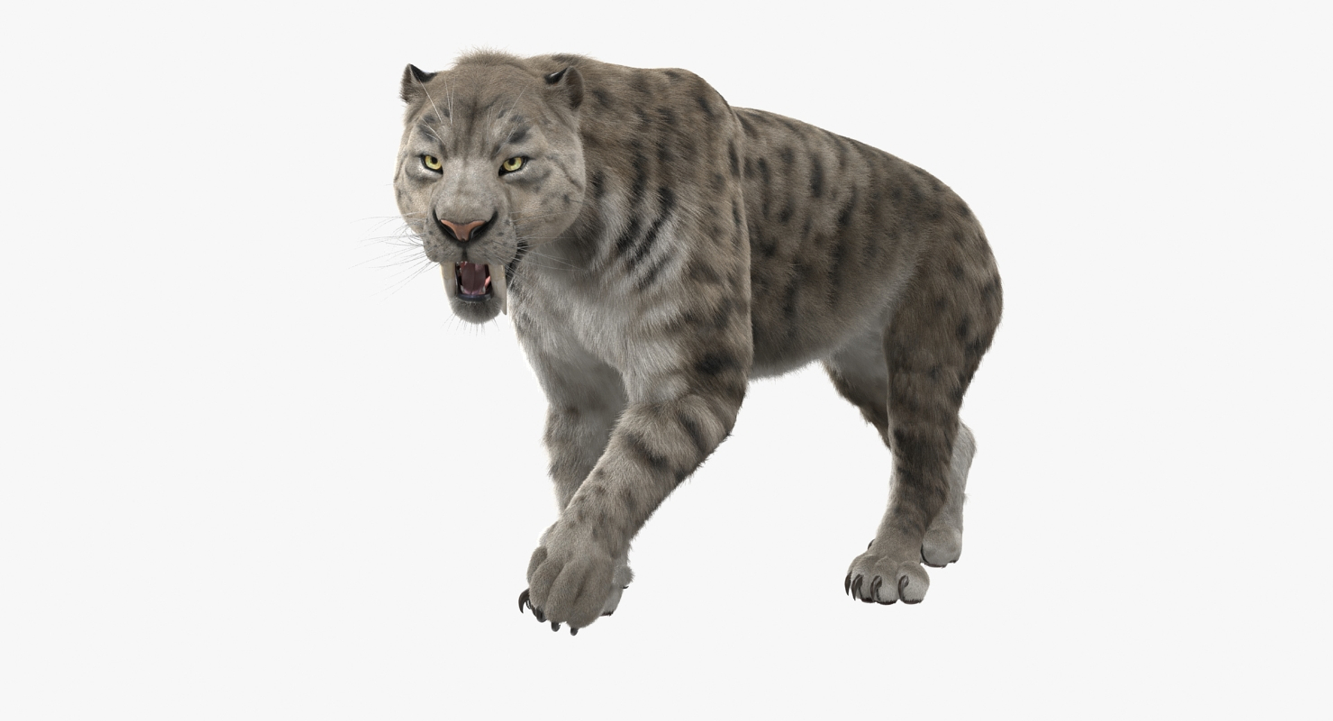 Arctic Saber Tooth Cat 3D Model - TurboSquid 1329301