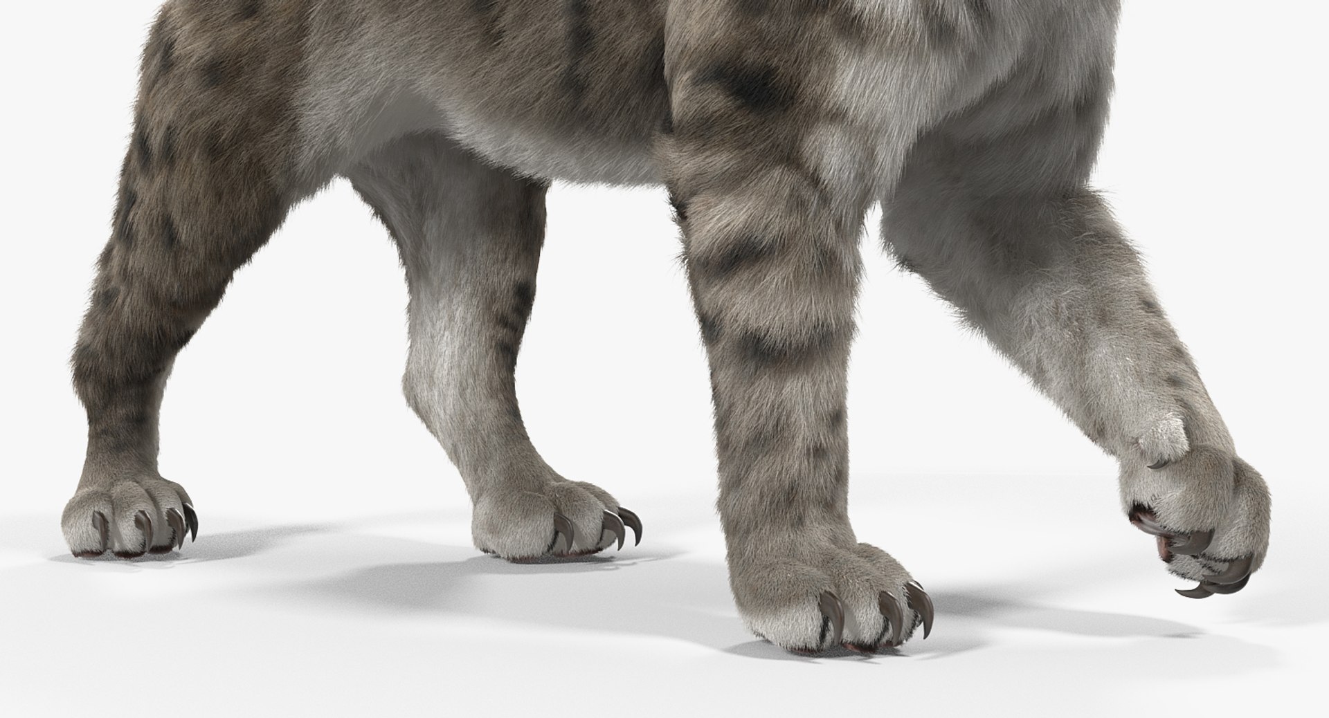 Arctic Saber Tooth Cat 3D Model - TurboSquid 1329301