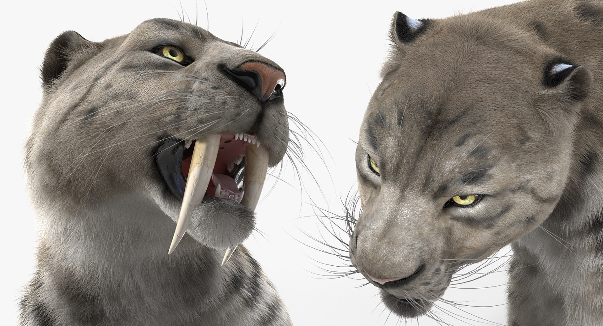 Arctic Saber Tooth Cat 3D Model - TurboSquid 1329301