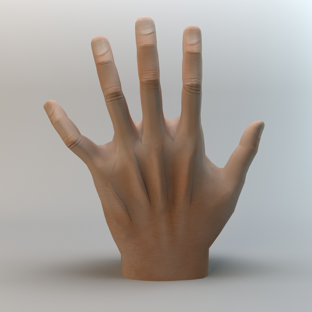 Hand Model - TurboSquid 1250566