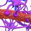 3D Neuron Receptors Cells - TurboSquid 1217211